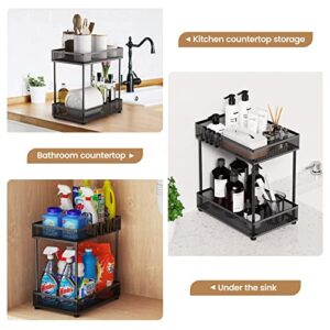 Bathroom ,Kitchen Sink Cabinet Organizer, 2 Tier Under Sink , Under Cabinet Organizers and Storage with 4 Hooks,Non-slip Feet, Metal