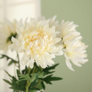 Efavormart 3 Stems | Ivory 27" Artificial Silk Chrysanthemum Bouquet Flowers, Large Faux Mum Branches