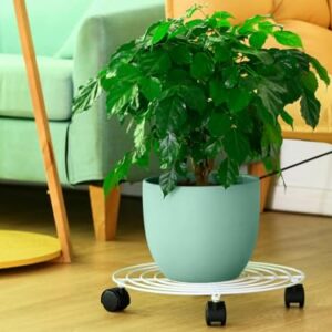 5 Packs Metal Plant Caddy with Locking Wheels 11.8” Heavy-Duty Wrought Iron Rolling Plant Stands with Casters Plant Dolly Plant Roller Base for Indoor and Outdoor Plant Pot Movers Saucers White