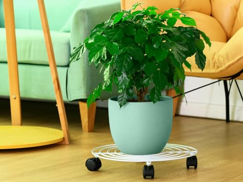 5 Packs Metal Plant Caddy with Locking Wheels 11.8” Heavy-Duty Wrought Iron Rolling Plant Stands with Casters Plant Dolly Plant Roller Base for Indoor and Outdoor Plant Pot Movers Saucers White