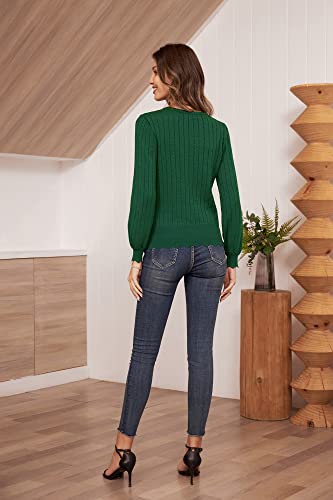 Women's V Neck Long Sleeve Pullover Sweater Lightweight Knit Novelty Sweaters Green L