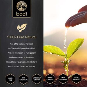 bodi : Alfalfa Leaf Cut Dried | 4oz to 5lb | 100% Pure Natural Wild Crafted (4 Oz)