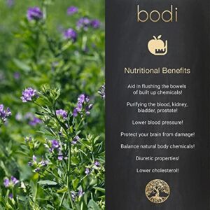 bodi : Alfalfa Leaf Cut Dried | 4oz to 5lb | 100% Pure Natural Wild Crafted (4 Oz)