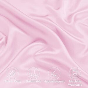 Satin Pillowcase for Hair and Skin, 2 Pack Pink Silk Pillowcase Standard Satin Pillowcase with Envelope Closure(Pink, 20x26 inches)