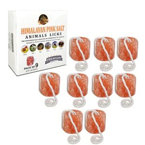 Himalaid Himalayan Salt Lick on Rope for Horses, Cattles, and Other Livestock, 2.5 LBS Each (9 Pack)