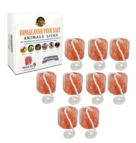 Himalaid Himalayan Salt Lick on Rope for Horses, Cattles, and Other Livestock, 2.5 LBS Each (9 Pack)