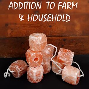 Himalaid Himalayan Salt Lick on Rope for Horses, Cattles, and Other Livestock, 2.5 LBS Each (9 Pack)