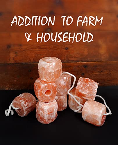 Himalaid Himalayan Salt Lick on Rope for Horses, Cattles, and Other Livestock, 2.5 LBS Each (9 Pack)