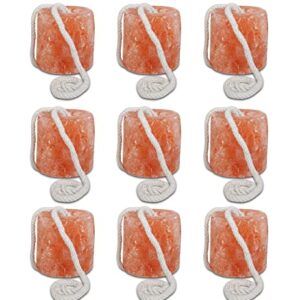 Himalaid Himalayan Salt Lick on Rope for Horses, Cattles, and Other Livestock, 2.5 LBS Each (9 Pack)