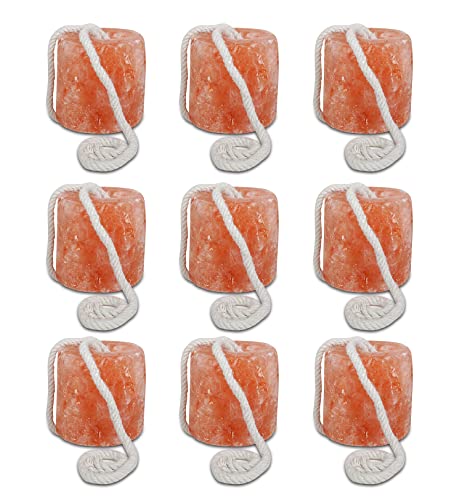 Himalaid Himalayan Salt Lick on Rope for Horses, Cattles, and Other Livestock, 2.5 LBS Each (9 Pack)