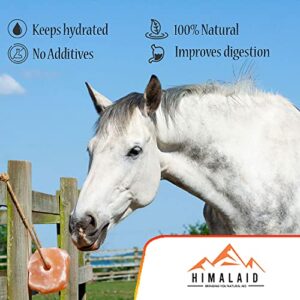 Himalaid Himalayan Salt Lick on Rope for Horses, Cattles, and Other Livestock, 2.5 LBS Each (9 Pack)