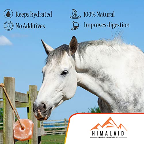 Himalaid Himalayan Salt Lick on Rope for Horses, Cattles, and Other Livestock, 2.5 LBS Each (9 Pack)