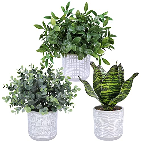 Set of 3 Small Potted Plants Faux Eucalyptus Plants and Tropical Snake Plant in Geometric Gray Pots for Modern Bathroom Office Table Shelf Windowsill Home Indoor Outdoor Green Décor