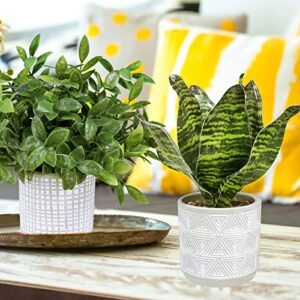 Set of 3 Small Potted Plants Faux Eucalyptus Plants and Tropical Snake Plant in Geometric Gray Pots for Modern Bathroom Office Table Shelf Windowsill Home Indoor Outdoor Green Décor