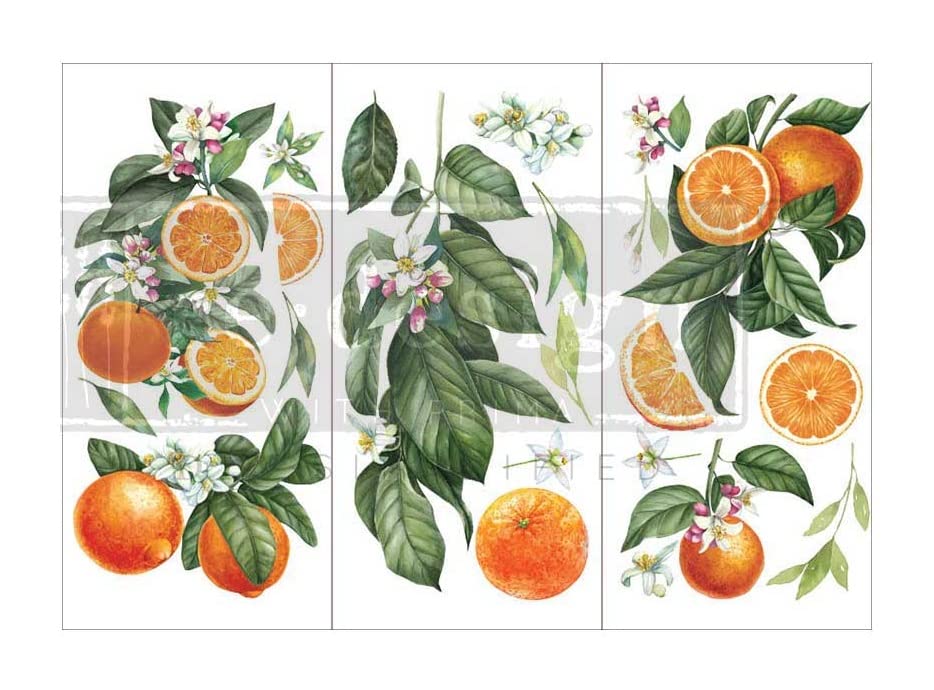 Prima Marketing Re-Design Decor Transfers 6"X12" 3/Sheets-Citrus Slice -RE657444 valentine gifts,Easter Day decorations,Kids gifts,mother valentines day gift