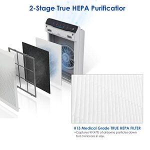 Flintar 115115 True HEPA Filter A, Compatible with Winix Air Purifier C535, 5300, 6300, P300, H13 Grade True HEPA Replacement Filters (4 HEPA Filters)