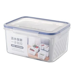 yiser double layer draining basket fresh keeping box kitchen supplies sealed box plastic fresh keeping box refrigerator fruit storage sticky rice basket (c, one size)