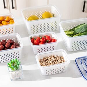 Yiser Double Layer Draining Basket Fresh Keeping Box Kitchen Supplies Sealed Box Plastic Fresh Keeping Box Refrigerator Fruit Storage Sticky Rice Basket (B, One Size)