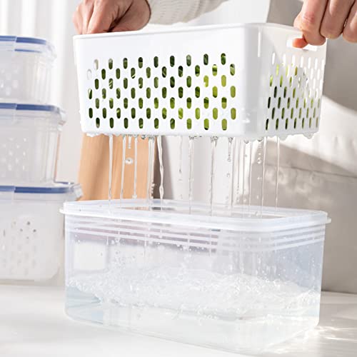 Yiser Double Layer Draining Basket Fresh Keeping Box Kitchen Supplies Sealed Box Plastic Fresh Keeping Box Refrigerator Fruit Storage Sticky Rice Basket (B, One Size)