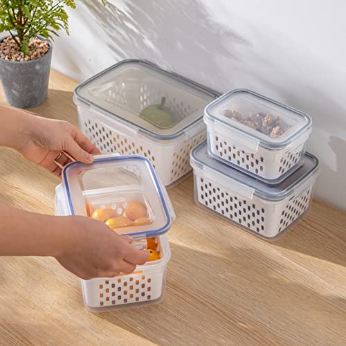 Yiser Double Layer Draining Basket Fresh Keeping Box Kitchen Supplies Sealed Box Plastic Fresh Keeping Box Refrigerator Fruit Storage Sticky Rice Basket (B, One Size)