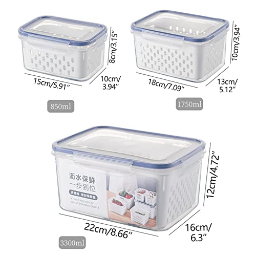 Yiser Double Layer Draining Basket Fresh Keeping Box Kitchen Supplies Sealed Box Plastic Fresh Keeping Box Refrigerator Fruit Storage Sticky Rice Basket (B, One Size)