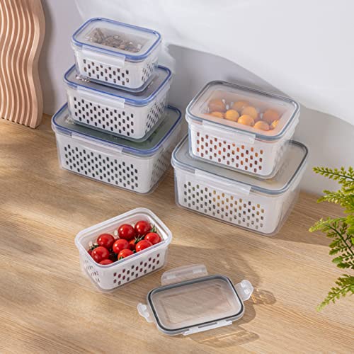 Yiser Double Layer Draining Basket Fresh Keeping Box Kitchen Supplies Sealed Box Plastic Fresh Keeping Box Refrigerator Fruit Storage Sticky Rice Basket (B, One Size)