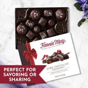 Fannie May, Dark Chocolate Candy, Dark Chocolate Assortment, 8.3 Oz Gift Box