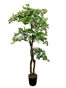 hand-made 5' black olive leaf artificial tree with ethically sourced real wood trunks | green | cypress & alabaster