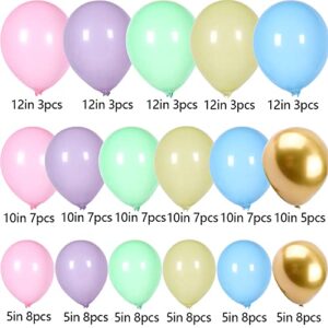 Princess Balloons Arch Garland Kit - 111pcs Princess Birthday Party Decorations With Princess Foil Balloons for Girl Birthday Party Supplies