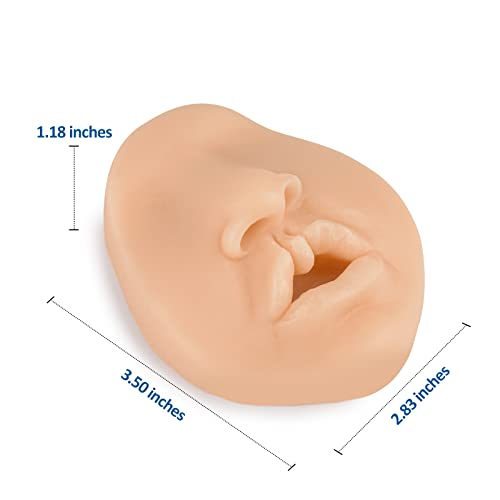 Ultrassist Bilateral Cleft Lip Model, Cleft Lip Suture Training Simulator for Medical Students, Education, Display