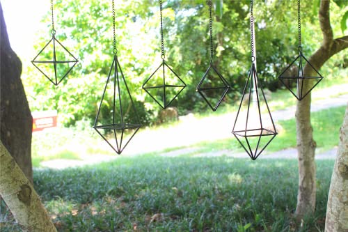 SZRUIZFZ Black Metal Air Plant Hanger, Tillandsia Air Plants Holders Unique, Modern Air Fern Display Stand with Chains for Home Wall Decor,Octahedron Himmeli Geometric Decor, Home Decor Gifts (6Pcs)