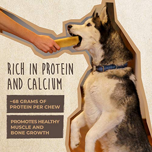 Mighty Paw Yak Cheese Chews for Dogs | All-Natural Long Lasting Pet Treats. Odorless and Great for Oral Health. Limited-Ingredient Chews for Puppies & Power-Chewers (Small, 5 Pack)