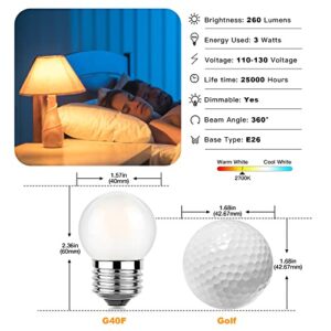 Sphoon G40 Led Low Wattage Bulb 3W Equivalent 25 Watt Light Bulbs, Standard E26 Small Power, Frosted, Warm White 2700K, Dimmable for Bathroom Bedside Accent Lamps Appliance Bulb Refrigerator Pack of 2