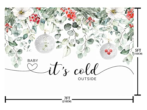 AIBIIN 7x5ft Winter Baby It's Cold Outside Backdrop Christmas Eucalyptus Leaves Baby Shower Decorations Winter Photography Background for Baby Shower Photo Booth Props