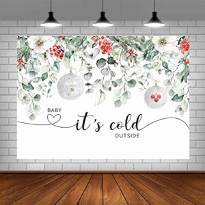 AIBIIN 7x5ft Winter Baby It's Cold Outside Backdrop Christmas Eucalyptus Leaves Baby Shower Decorations Winter Photography Background for Baby Shower Photo Booth Props