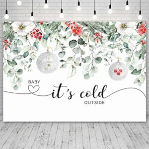 AIBIIN 7x5ft Winter Baby It's Cold Outside Backdrop Christmas Eucalyptus Leaves Baby Shower Decorations Winter Photography Background for Baby Shower Photo Booth Props