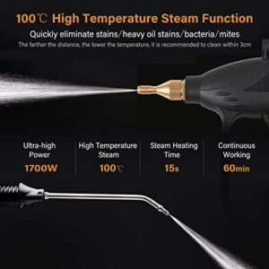 mewmewcat Handheld Steam Cleaner, 1700W Portable High Pressure Steam Cleaner with Controllable Steam Spray Gun, Steam Cleaning Machine for Kitchen Bathroom Furniture Car Detailing Seat, Yellow