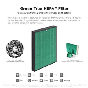 Coway Airmega 230/240 Air Purifier Replacement Filter Set, Max 2 Green True HEPA and Active Carbon Filter