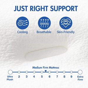 Twin XL Mattress,10" Memory Foam Hybrid Mattress with Pocket Spring,Medium-Firm Foam Mattress Tight Top Mattress Sleep Motion Isolation, Supportive & Pressure Relief,Mattress-in-a-Box by DIGLANT