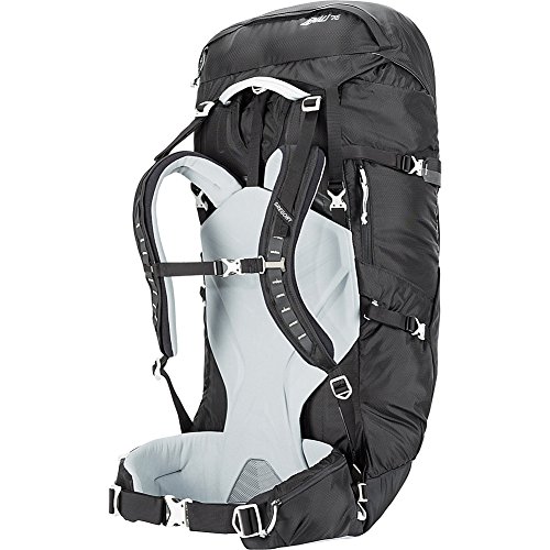 Gregory Mountain Products Denali 75 Liter Alpine Backpack