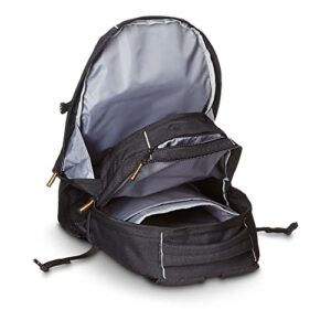 Amazon Basics Laptop Backpack (AB 103)