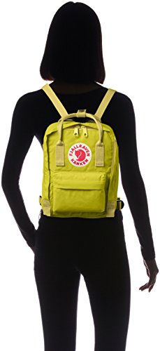 FJALL RAVEN(フェールラーベン) Fährlaven Kanken Mini Women's Official Amazon Backpack, Birch Green