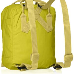 FJALL RAVEN(フェールラーベン) Fährlaven Kanken Mini Women's Official Amazon Backpack, Birch Green