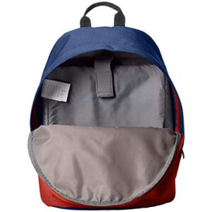 Amazon Basics School Laptop Backpack - Blue