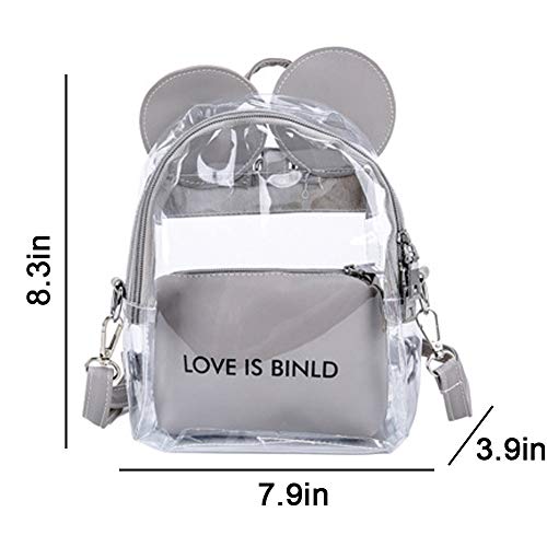 MOSSTYUS Clear Casual Daypack Transparent Crossbody Shoulder Daypack Cosmetic Bag