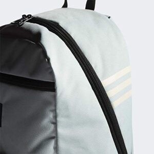 adidas Originals Originals National Backpack, Vapour Green, One Size