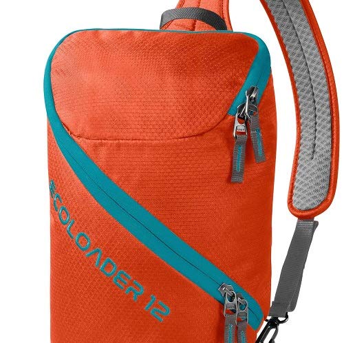 Jack Wolfskin Unisex-Adult Ecoloader 12 Bag, Wild Brier, One Size