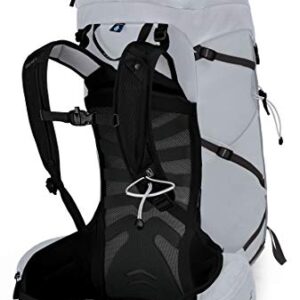 Osprey Tempest 30L Women's Hiking Backpack with Hipbelt, Aluminum Grey, WXS/S