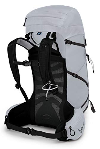 Osprey Tempest 30L Women's Hiking Backpack with Hipbelt, Aluminum Grey, WXS/S