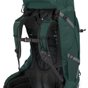 Osprey Aether Plus 60L Men's Backpacking Backpack, Axo Green, S/M